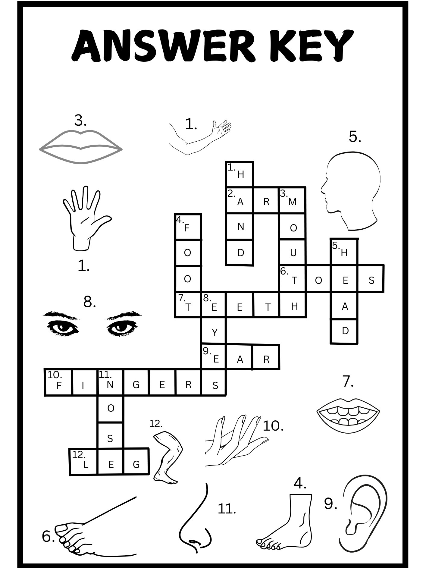 Body Parts Crossword Puzzle Printable | Study Prints