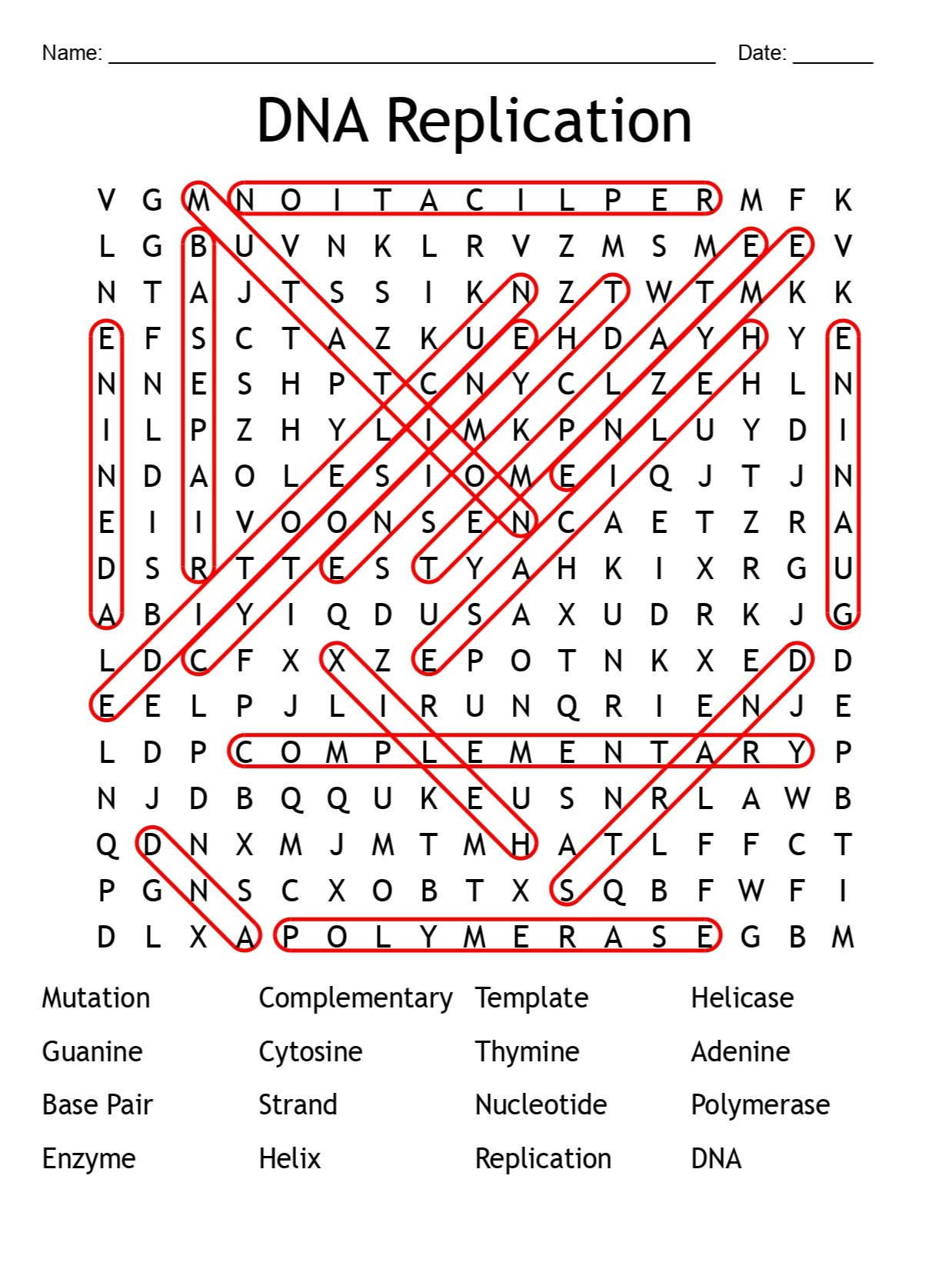 Printable DNA Replication Word Search – 16 Key Terms! | Learn Prints ...