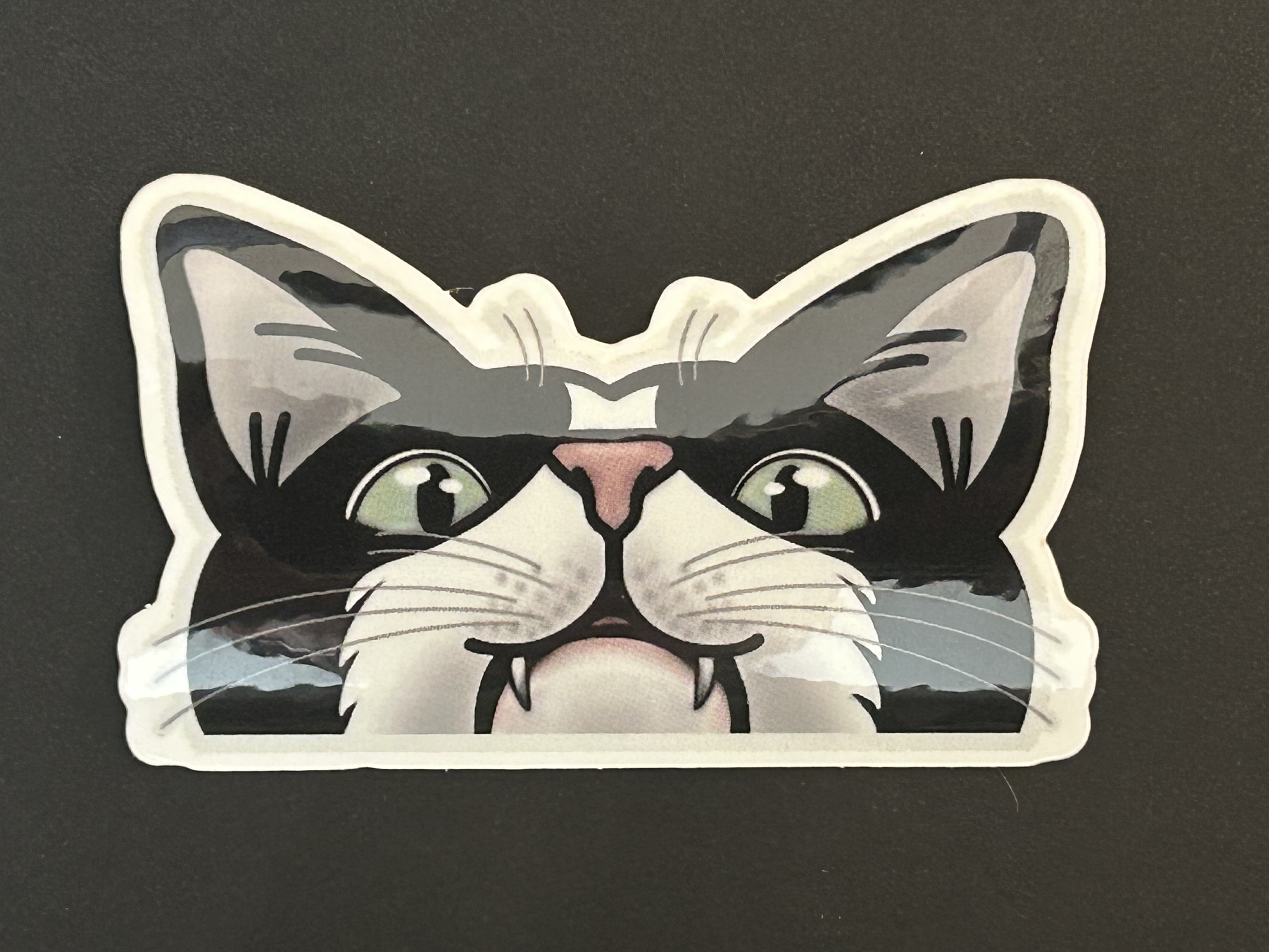 Kiki Kitty Vinyl Sticker | A Aloia Arts
